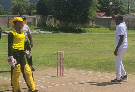 USA Ambassador & Cricket Hall of Famer Nick Perry Bowled First Ball in ...